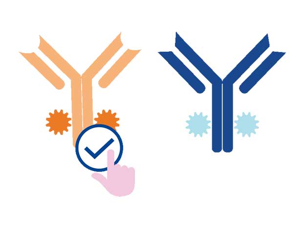 APC Mouse anti-Human CD43