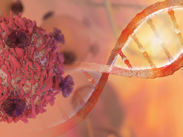 Bead-Based Immunoassays | BD Biosciences