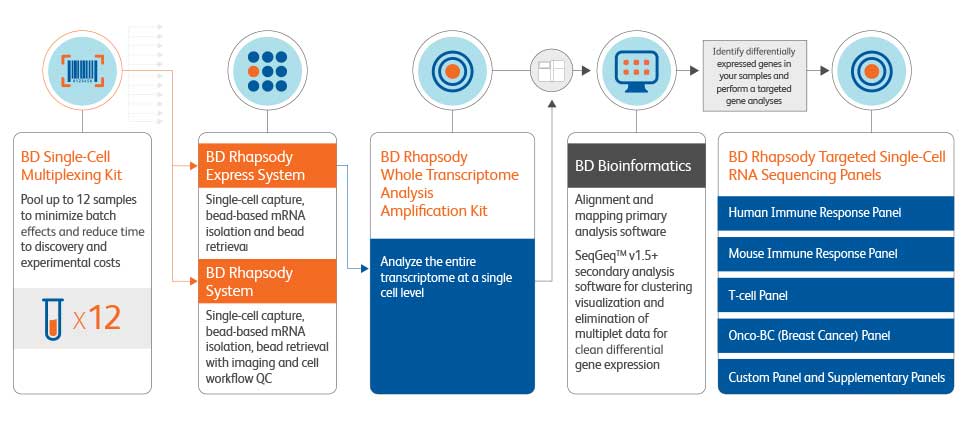 BD Rhapsody™ Whole Transcriptome Analysis Kit of Single Cell BD Rhapsody™ Whole Transcriptome Analysis Kit of Single Cell