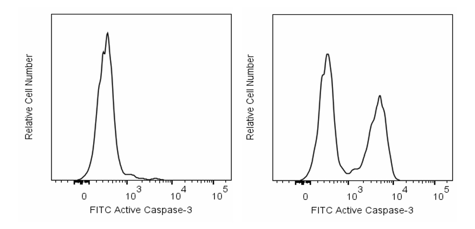 FITC Active Caspase-3 Apoptosis Kit