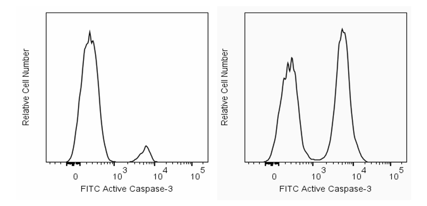 FITC Active Caspase-3 Apoptosis Kit
