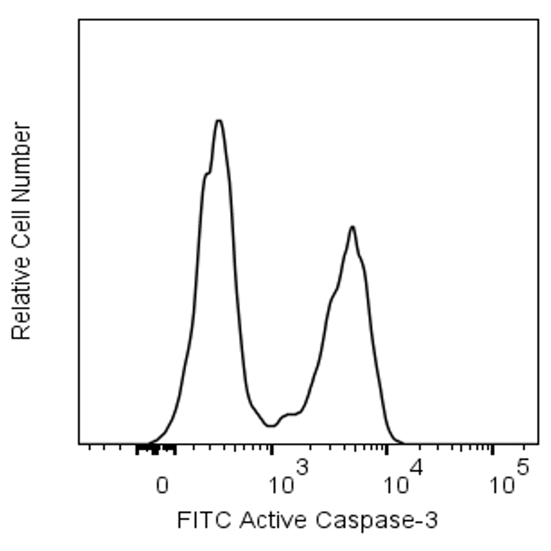 FITC Active Caspase-3 Apoptosis Kit