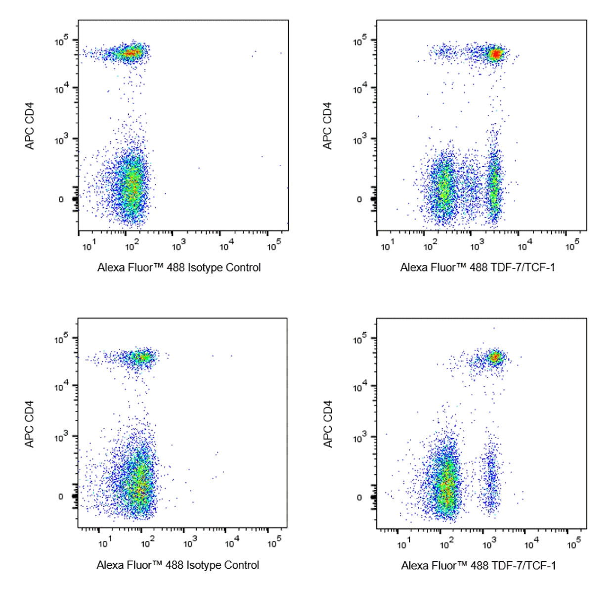 Alexa Fluor™ 488 Mouse Anti-TCF-7/TCF-1
