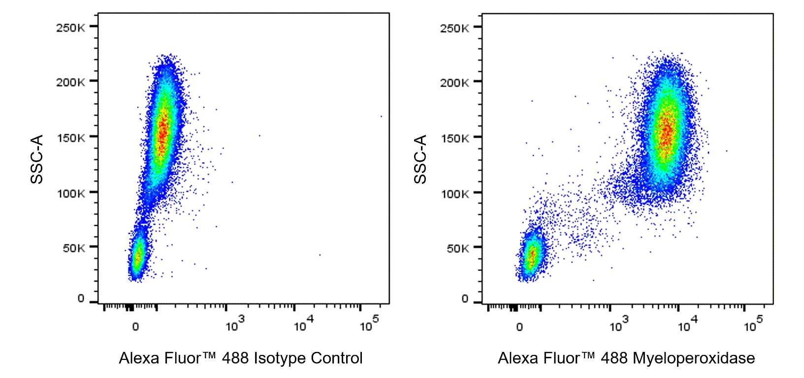 Alexa Fluor™ 488 Mouse Anti-Human Myeloperoxidase