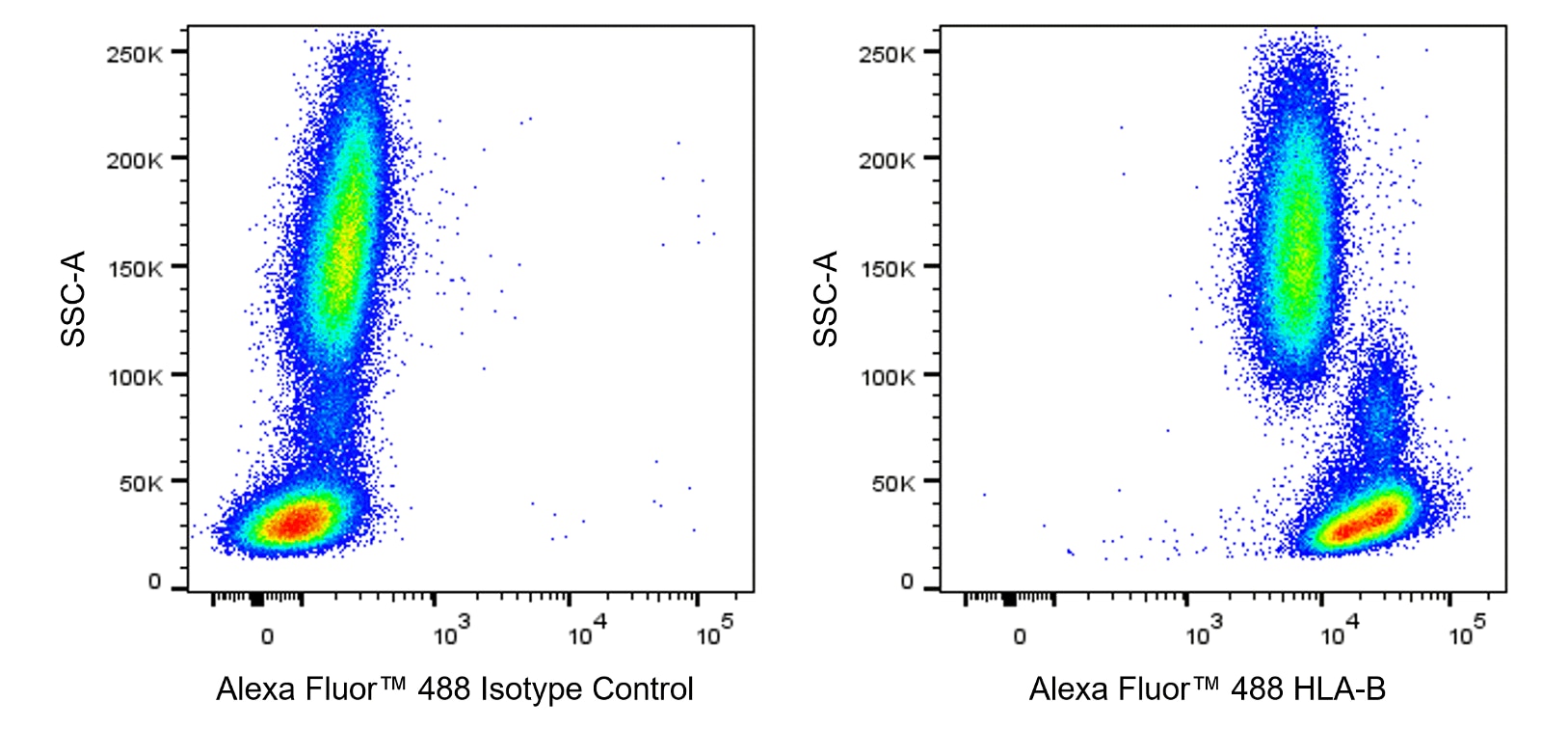 Alexa Fluor™ 488 Rat Anti-Human HLA-B