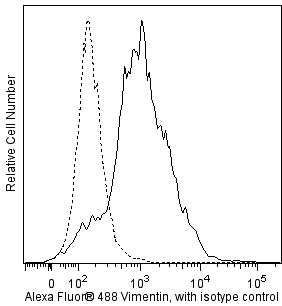 Alexa Fluor® 488 Mouse Anti-Human Vimentin