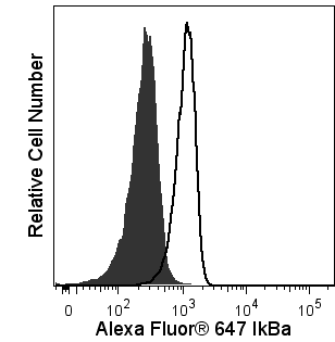BD Alexa Fluor® 647 Mouse anti-IκBα | 캐시바이