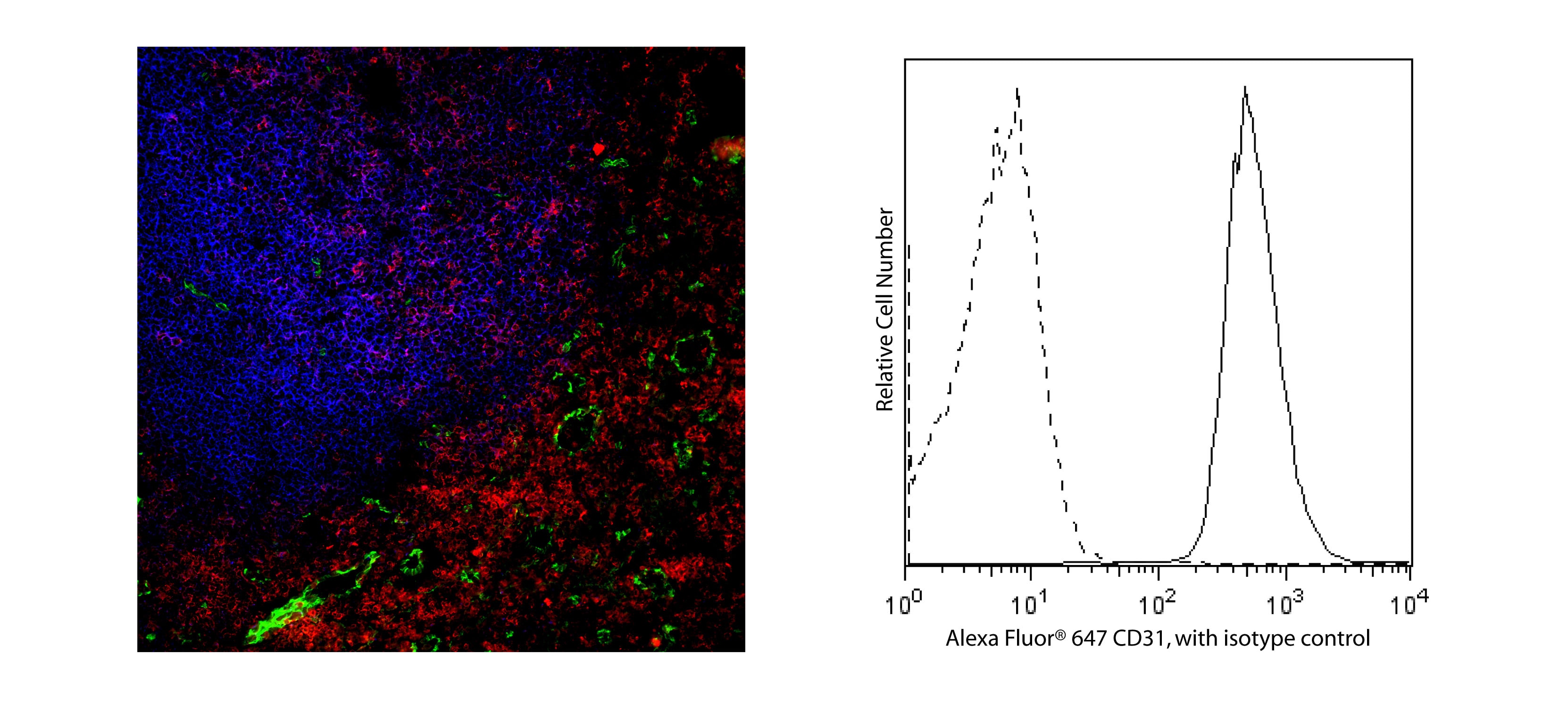 Alexa Fluor® 647 Mouse anti-Human CD31