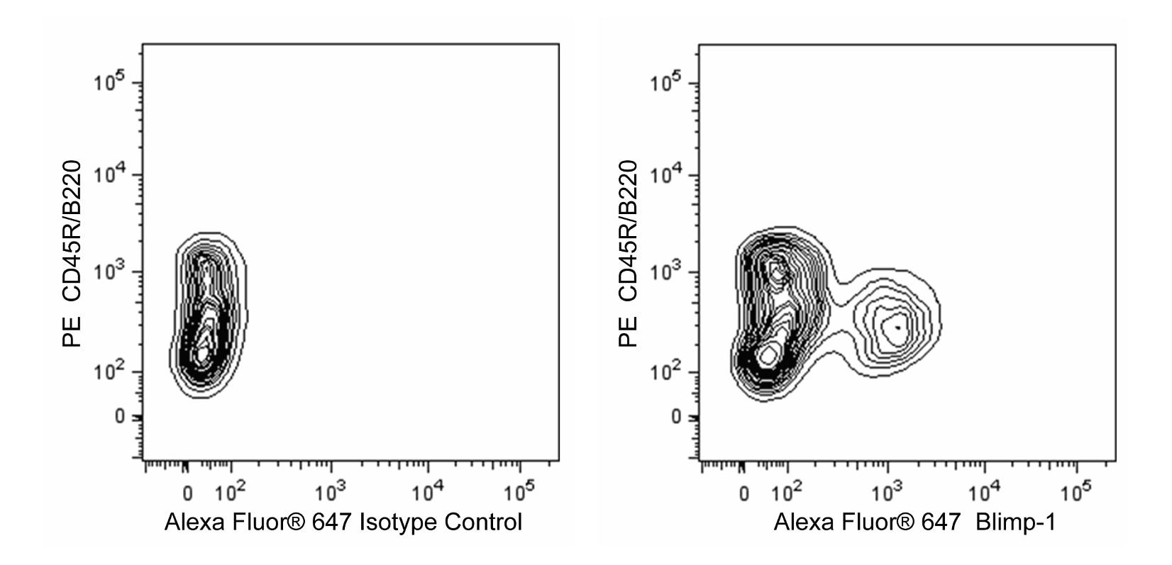 Alexa Fluor® 647 Rat Anti-Mouse Blimp-1