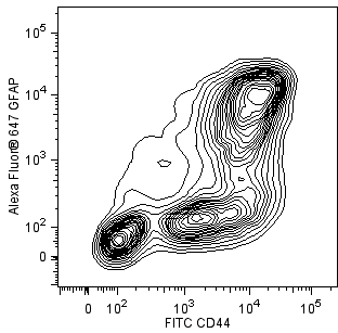 Alexa Fluor® 647 Mouse anti-GFAP