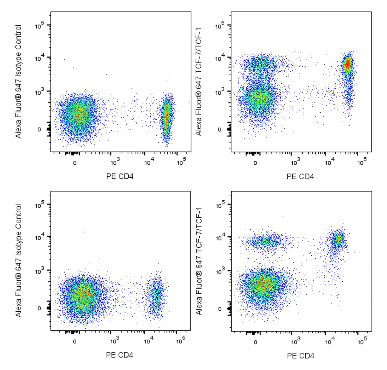 Alexa Fluor® 647 Mouse Anti-TCF-7/TCF-1