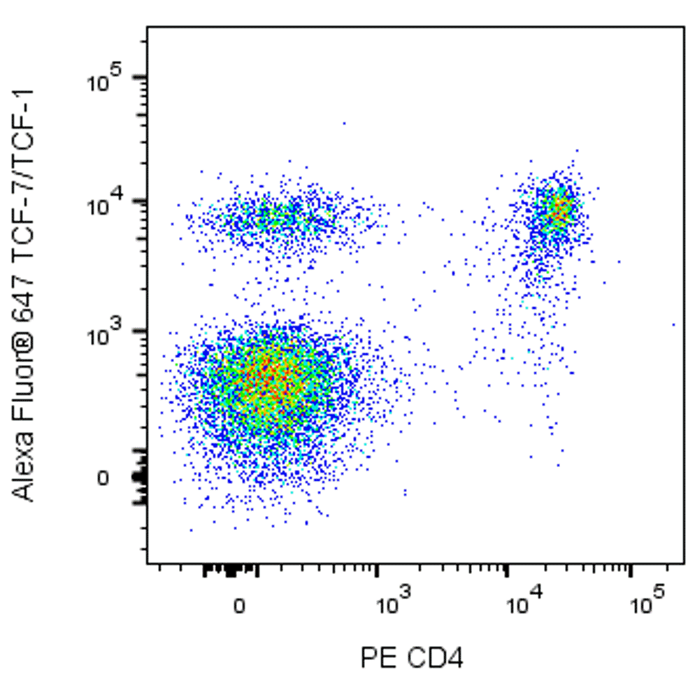 Alexa Fluor® 647 Mouse Anti-TCF-7/TCF-1