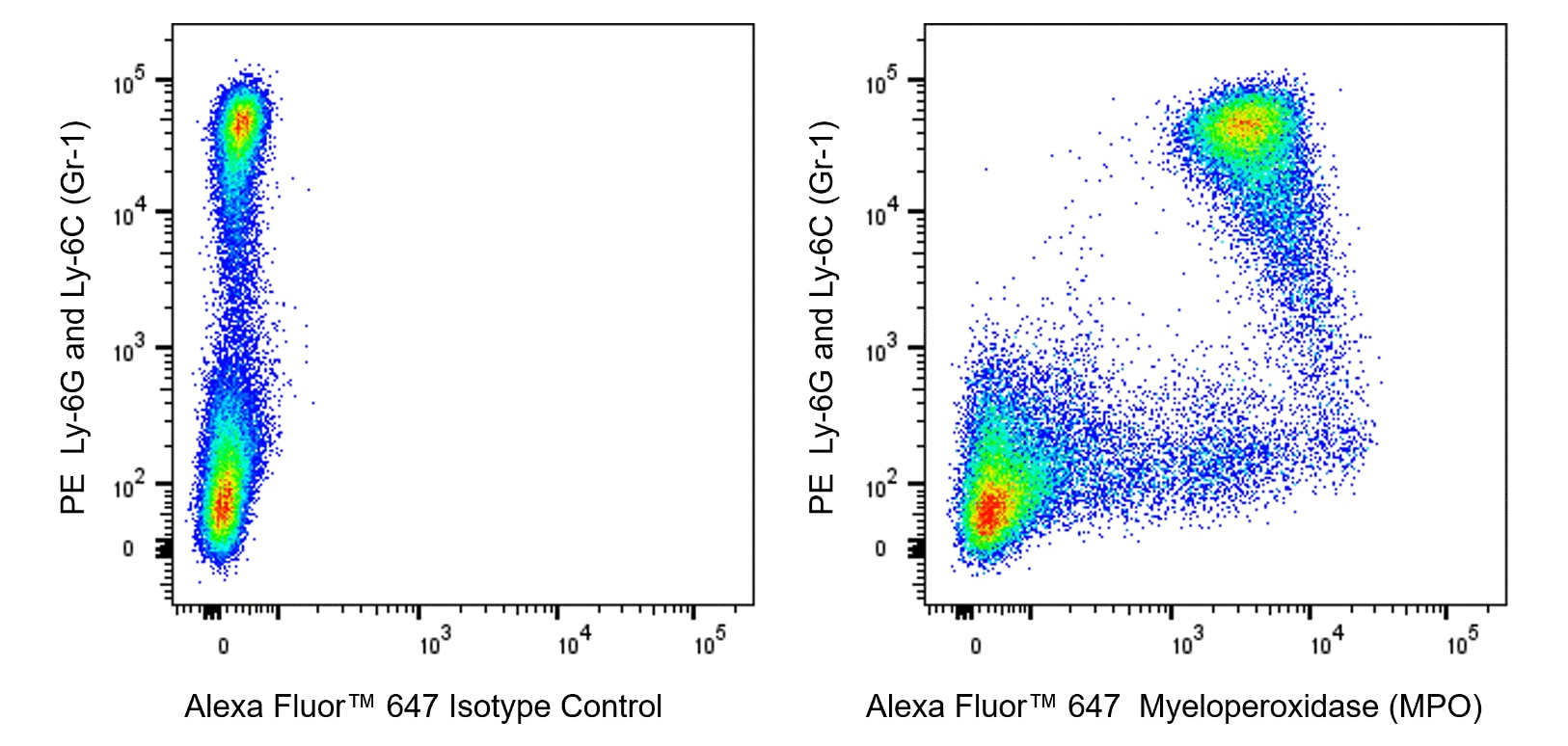 Alexa Fluor™ 647 Mouse Anti-Mouse Myeloperoxidase (MPO)