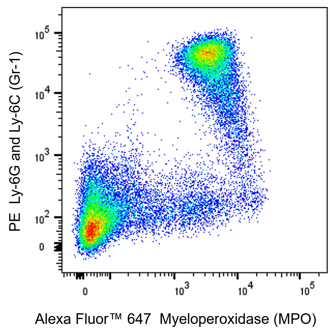 Alexa Fluor™ 647 Mouse Anti-Mouse Myeloperoxidase (MPO)