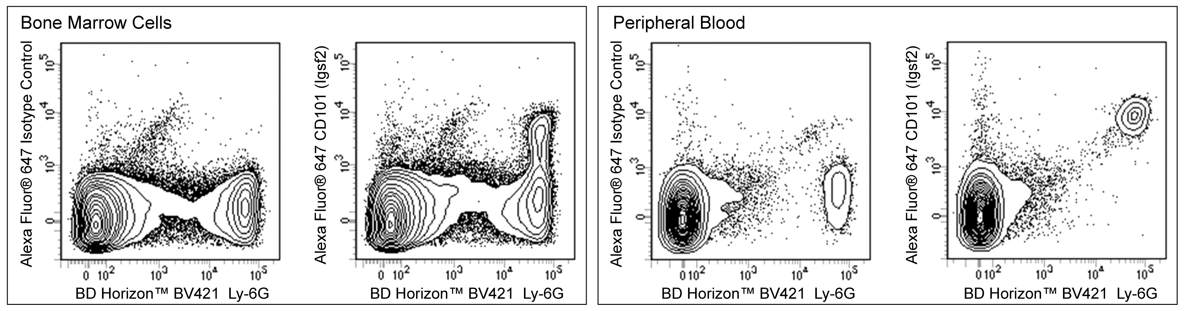 Alexa Fluor® 647 Rat Anti-Mouse CD101 (Igsf2)