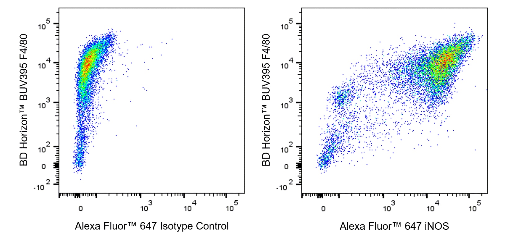 Alexa Fluor™ 647 Rat Anti-Mouse iNOS