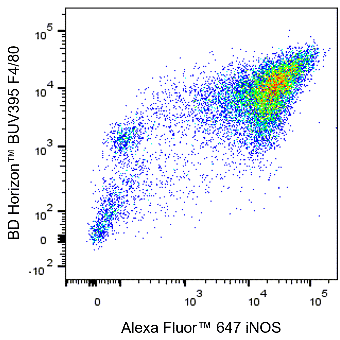 Alexa Fluor™ 647 Rat Anti-Mouse iNOS