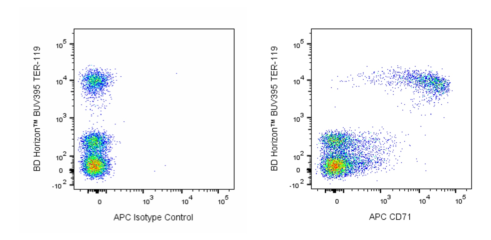 APC Rat Anti-Mouse CD71
