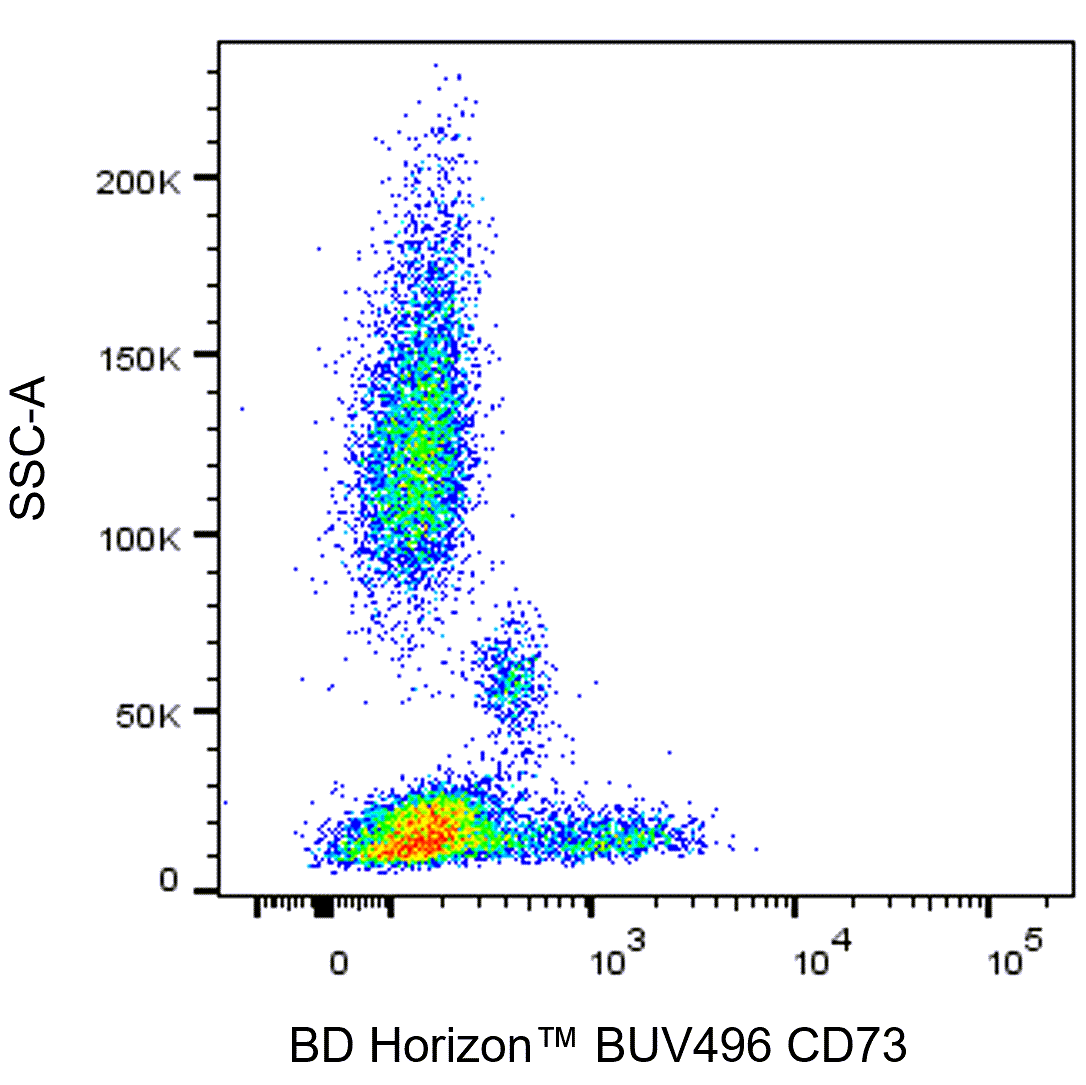 BUV496 Mouse Anti-Human CD73
