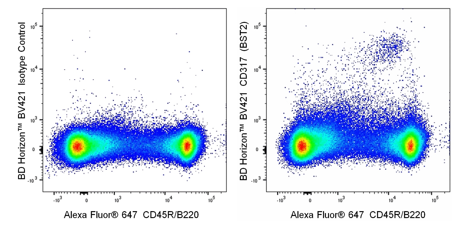 BV421 Rat Anti-Mouse CD317 (BST2)