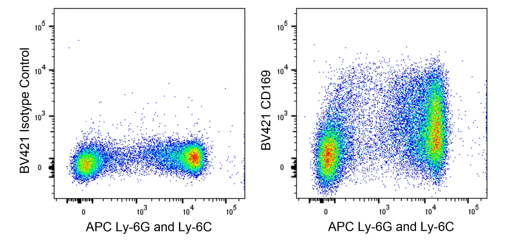 BV421 Rat Anti-Mouse CD169