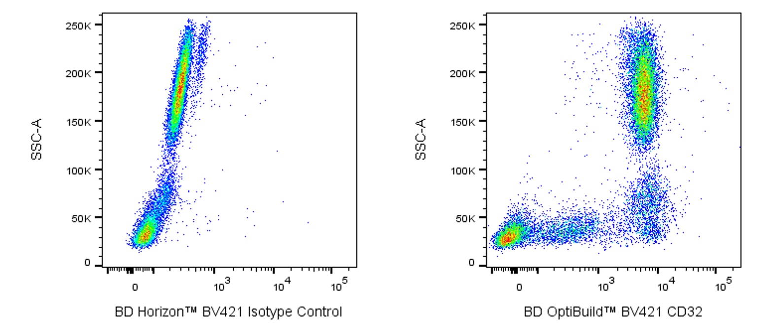 BV421 Mouse Anti-Human CD32
