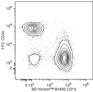 BV480 Rat Anti-Mouse CD19