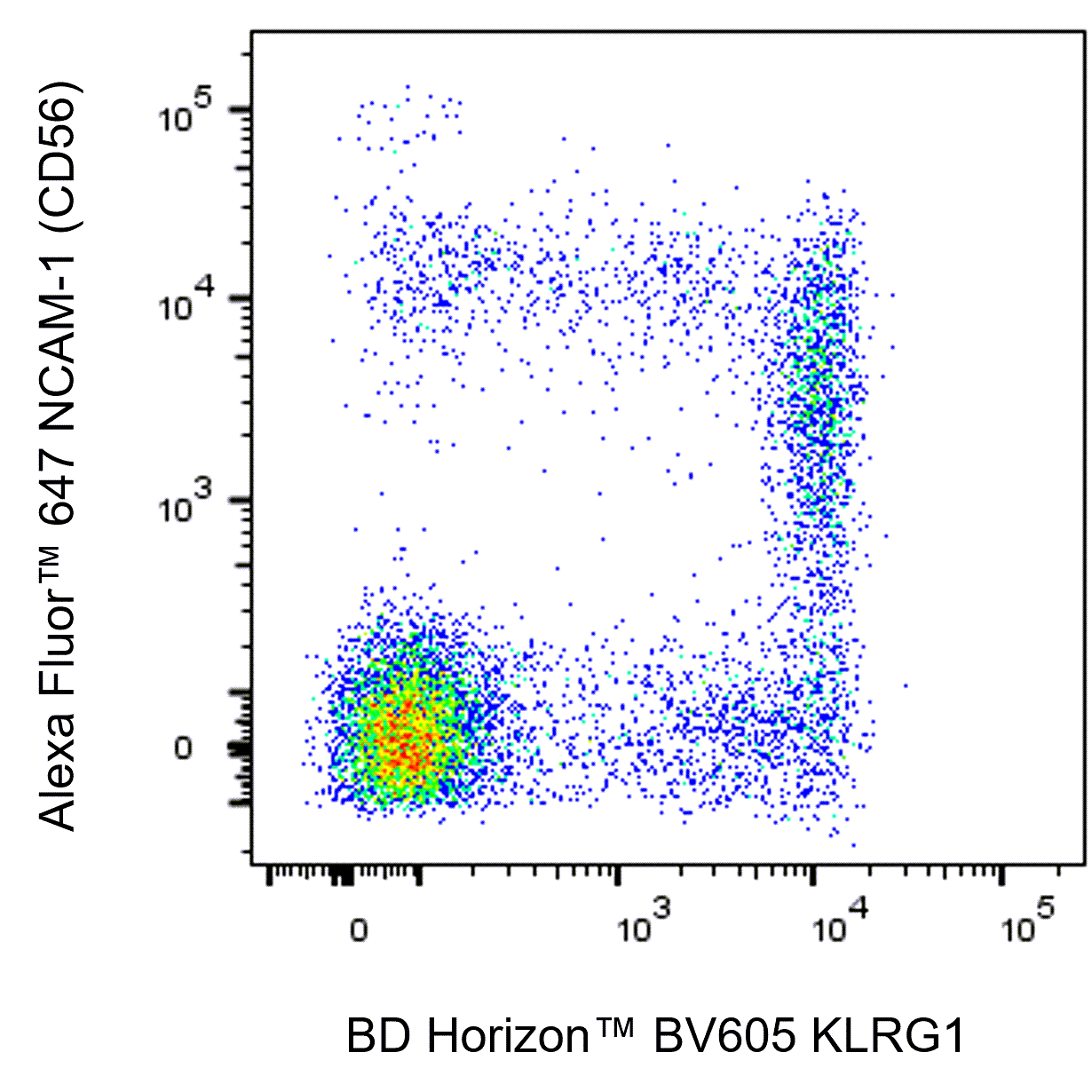 BV605 Mouse Anti-Human KLRG1