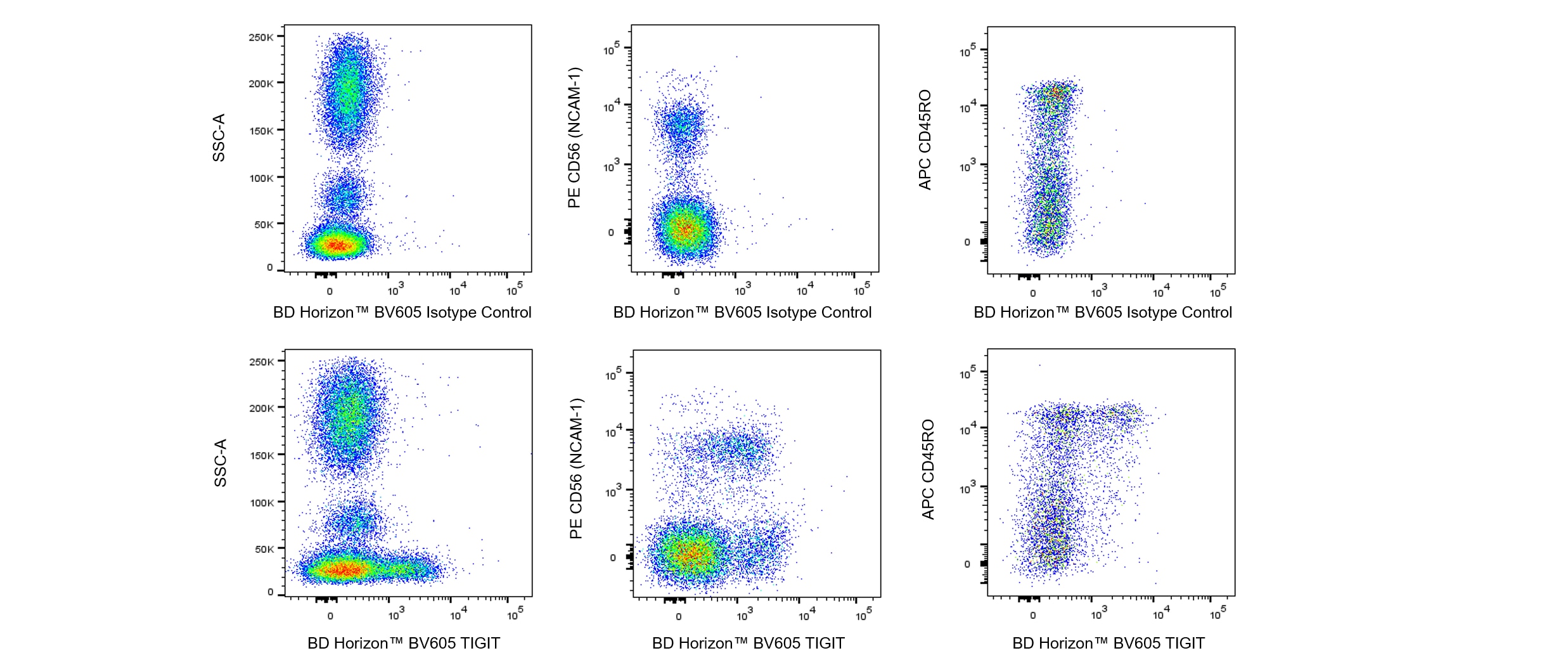 BV605 Mouse Anti-Human TIGIT