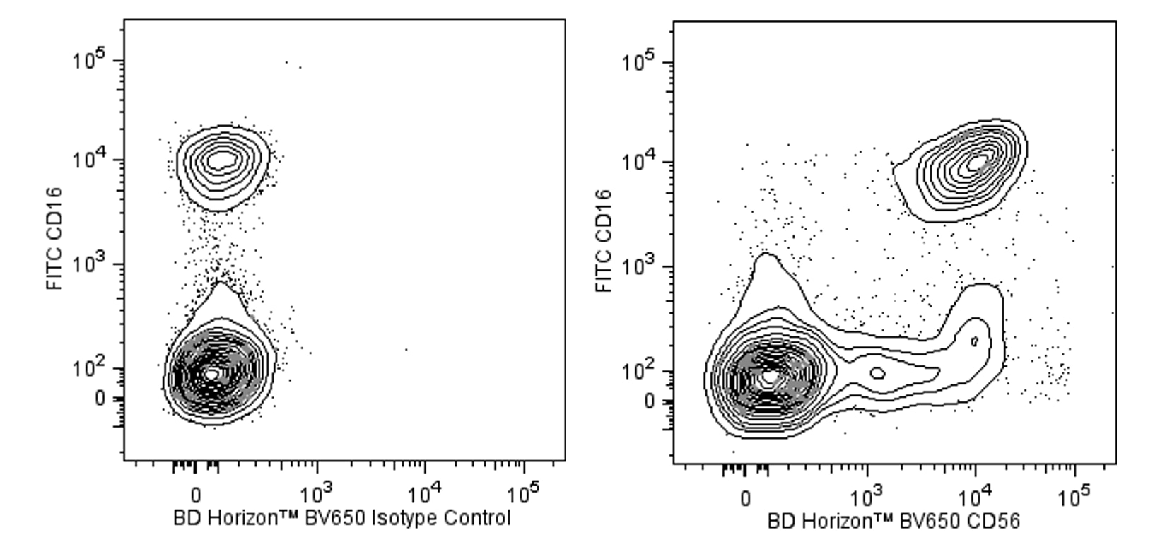 BV650 Mouse Anti-Human CD56