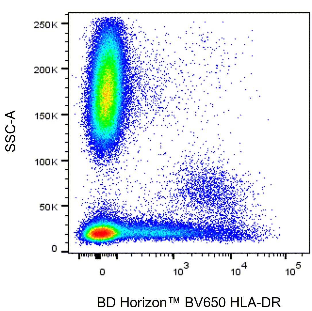 BV650 Mouse Anti-Human HLA-DR