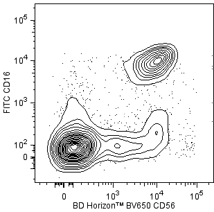 BV650 Mouse Anti-Human CD56