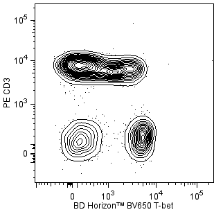 BV650 Mouse Anti-T-bet