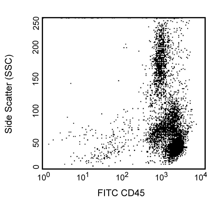 FITC Mouse Anti-NHP CD45