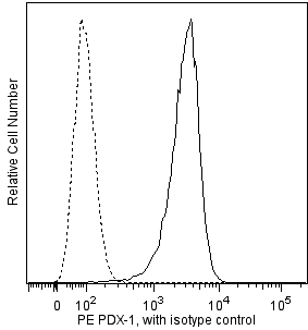 PE Mouse anti-PDX-1