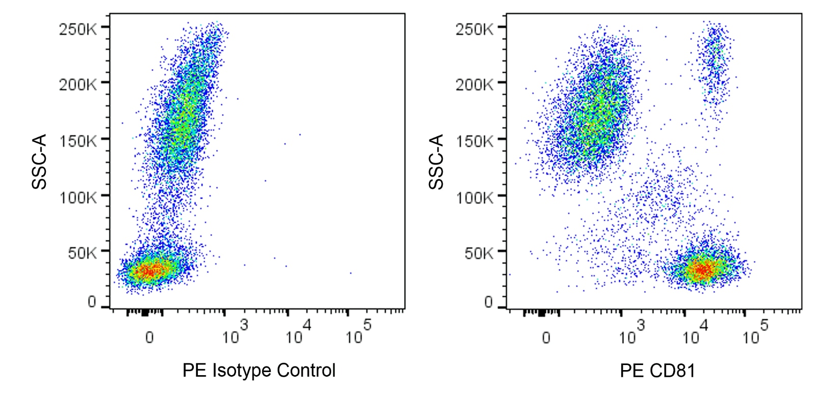 PE Mouse Anti-Human CD81