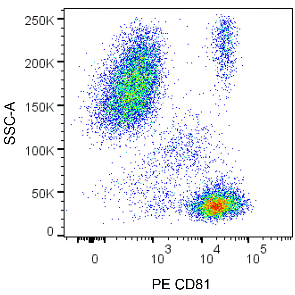 PE Mouse Anti-Human CD81
