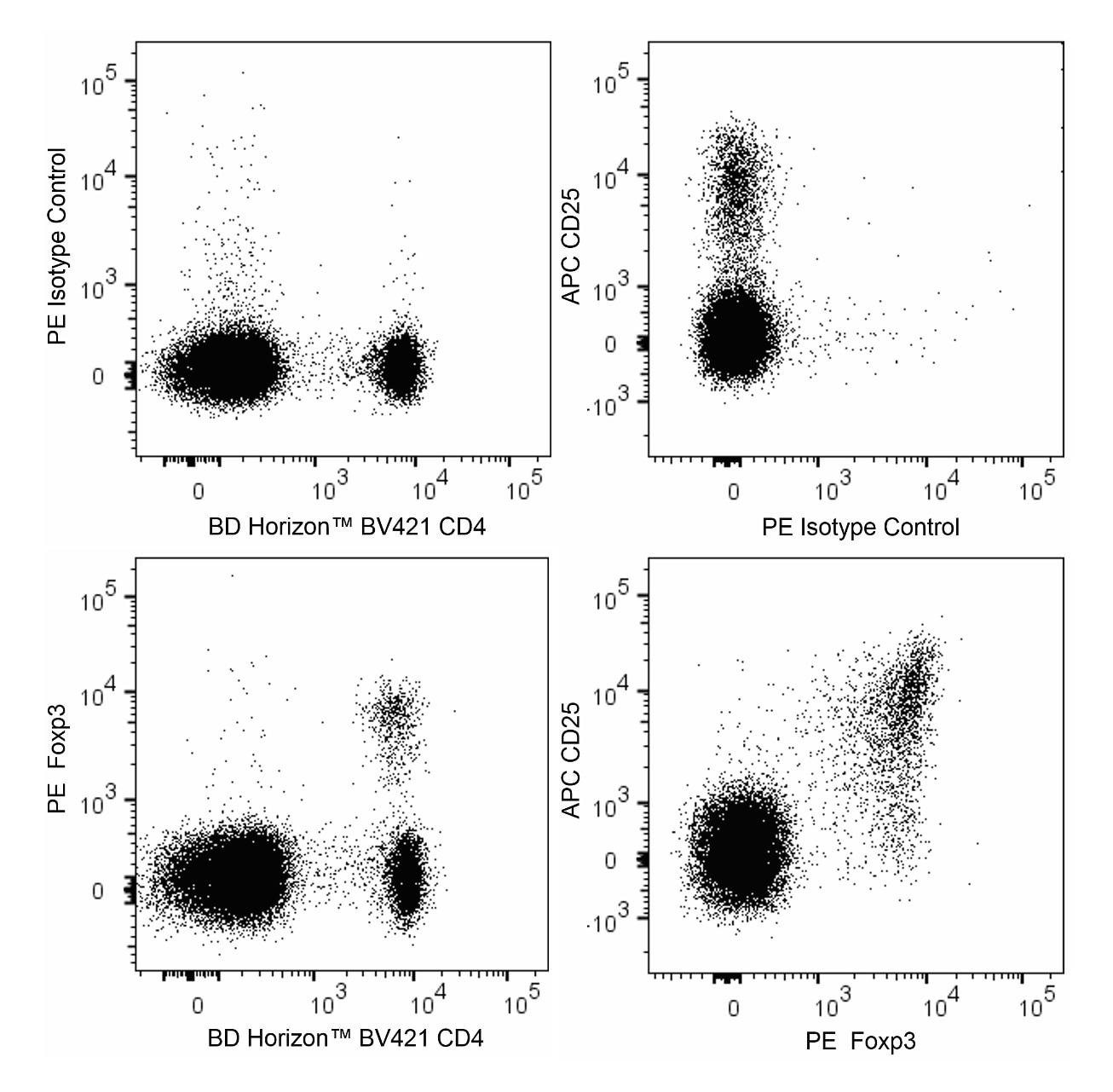 PE Mouse Anti-Mouse Foxp3