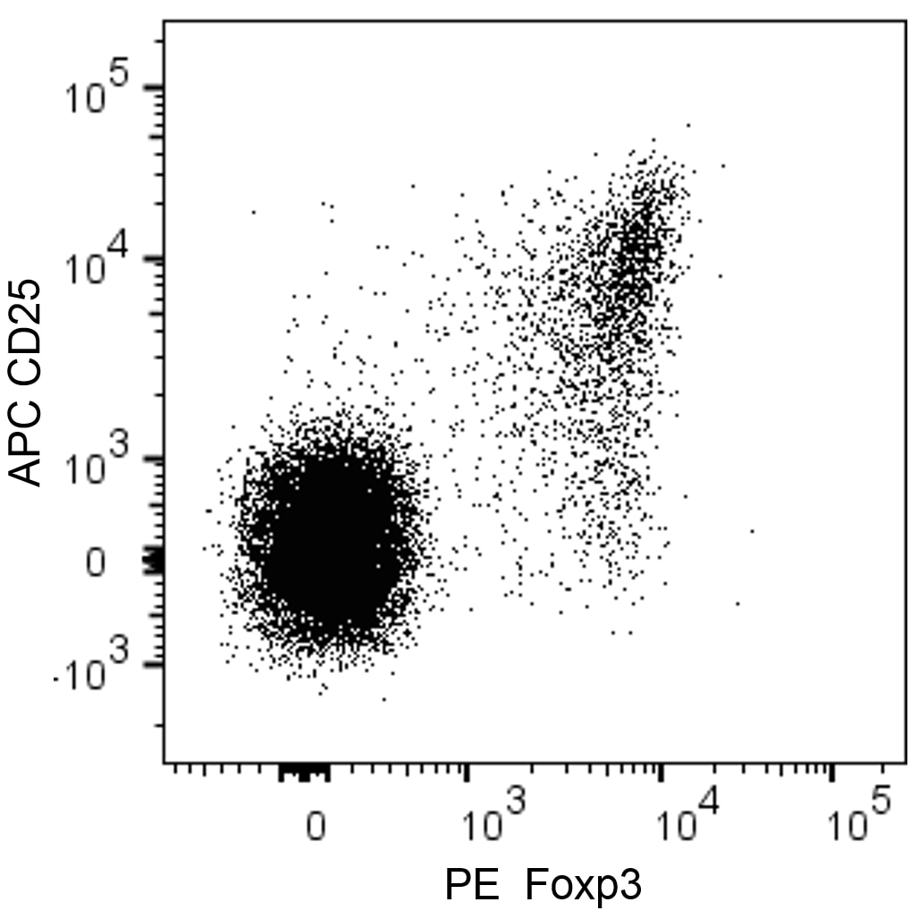 PE Mouse Anti-Mouse Foxp3