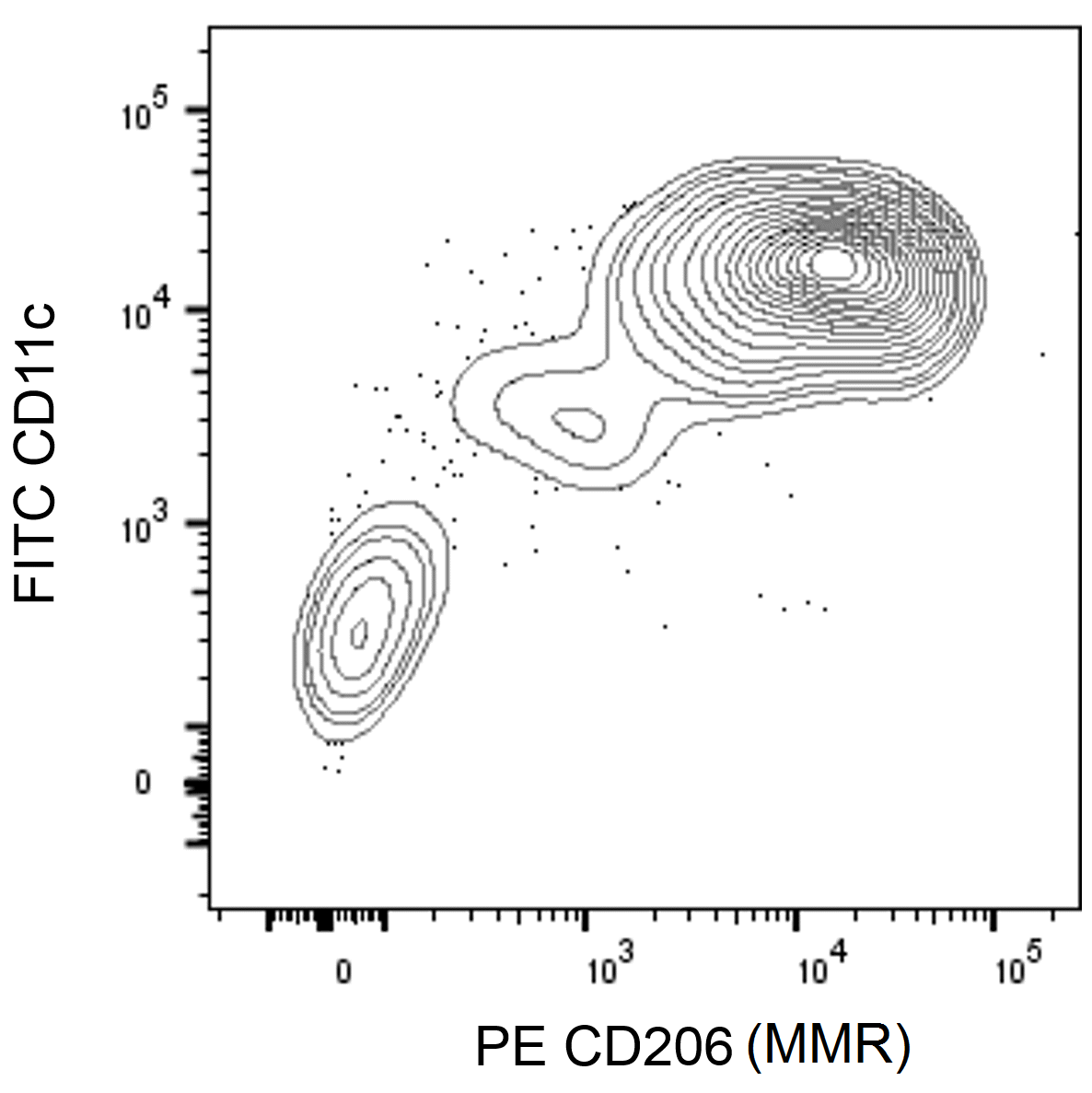 PE Mouse Anti-Human CD206 (MMR)