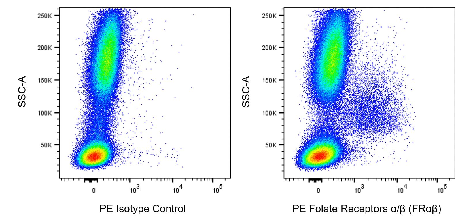 PE Rat Anti-Human Folate Receptors α/β (FRαβ)