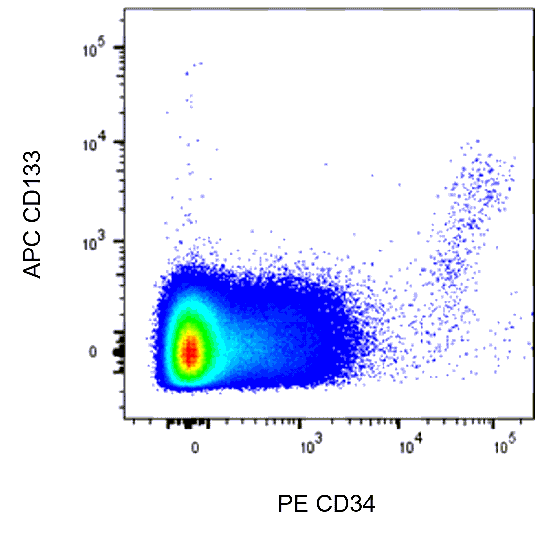 PE Mouse Anti-Human CD34
