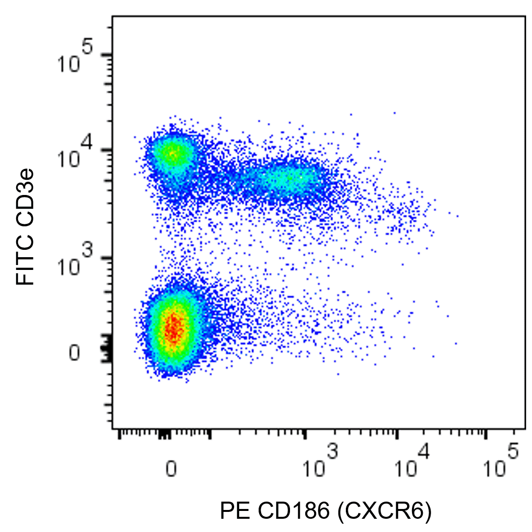 PE Rat Anti-Mouse CD186 (CXCR6)