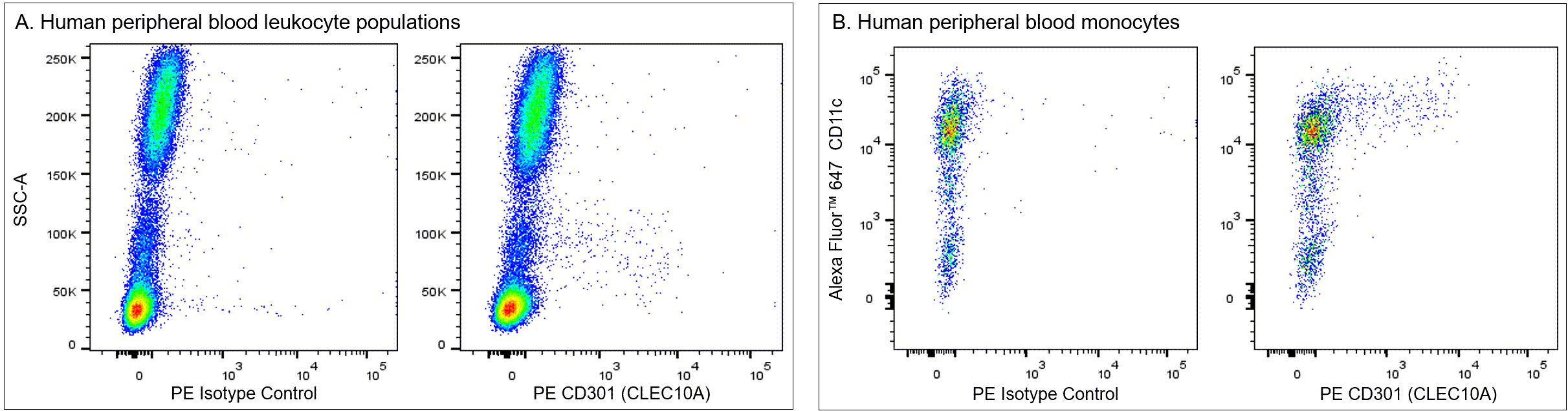 PE Mouse Anti-Human CD301 (CLEC10A)