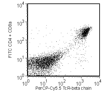 PerCP-Cy™5.5 Hamster Anti-Mouse TCR β Chain