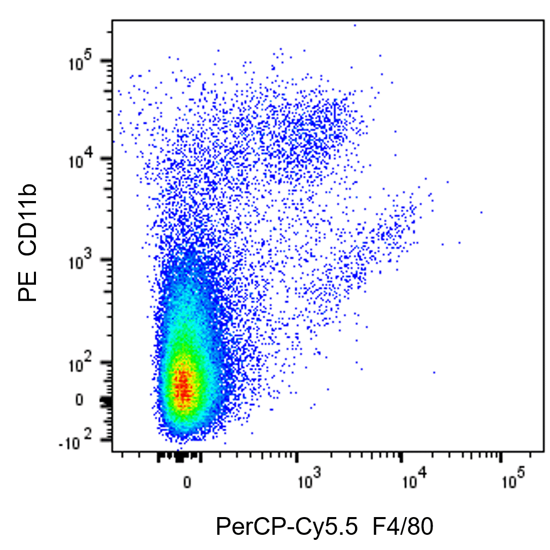 PerCP-Cy5.5 Rat Anti-Mouse F4/80