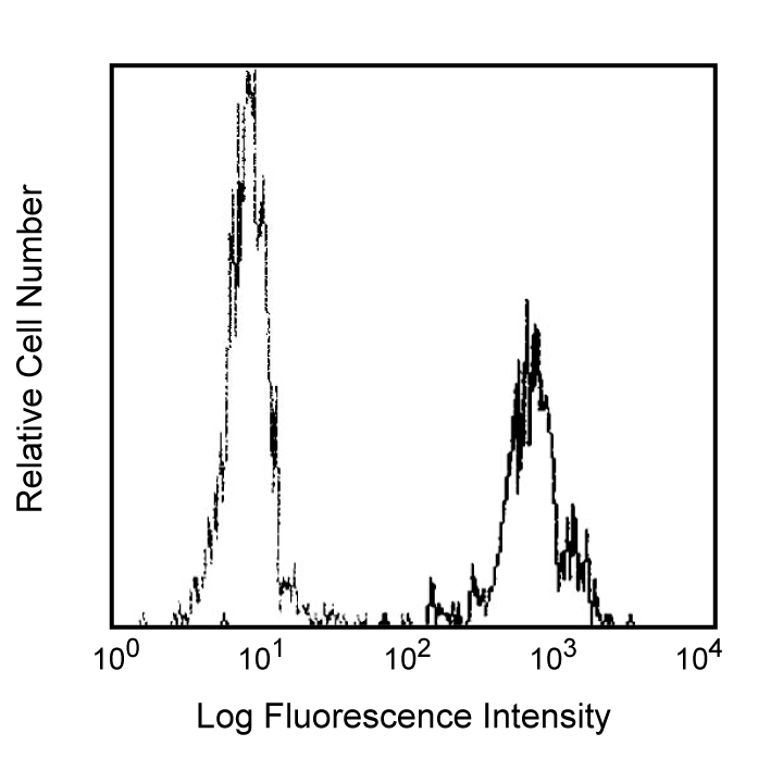 Purified Mouse Anti-Human CD31