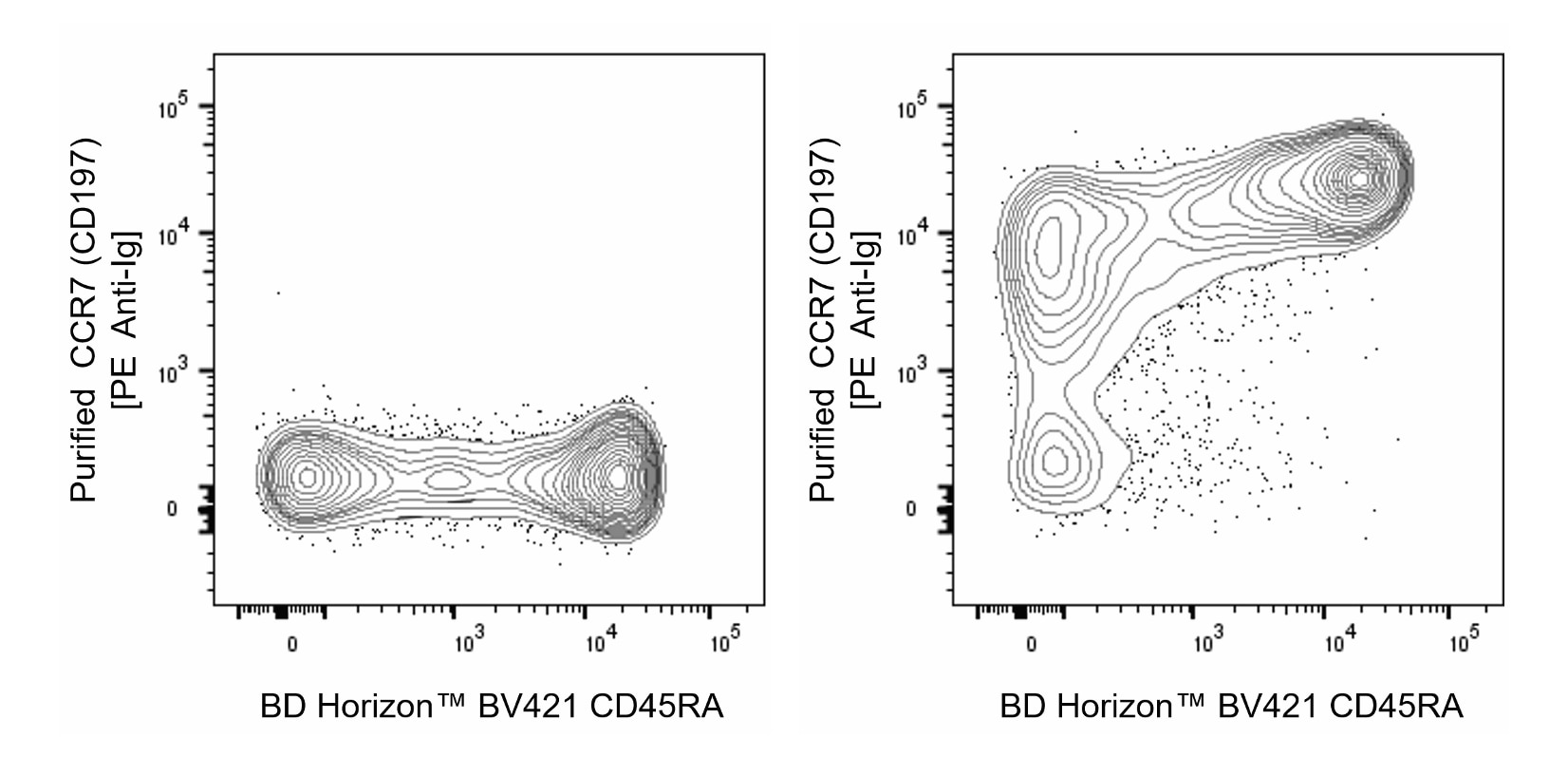Purified Mouse Anti-Human CCR7 (CD197)