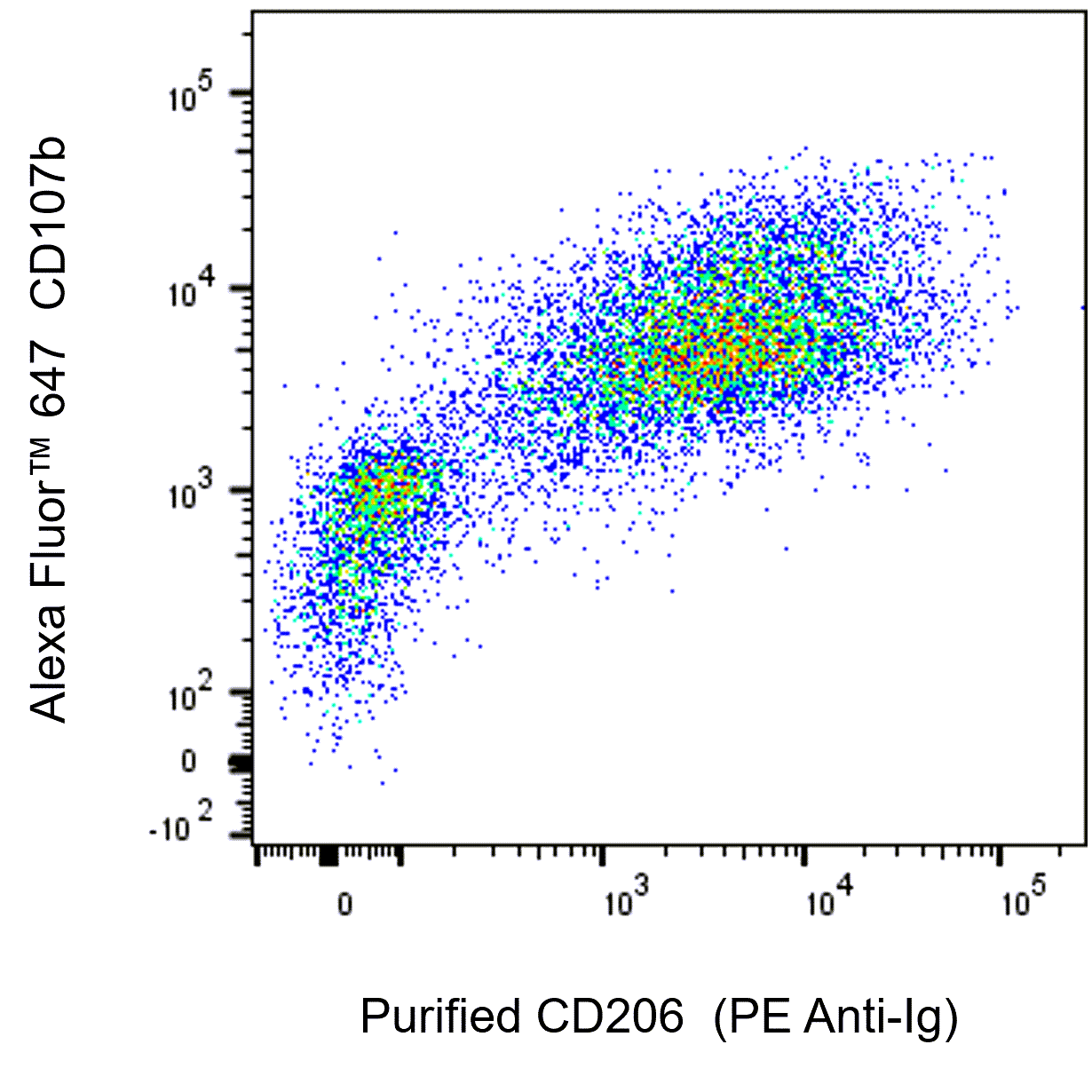 Purified Rat Anti-Mouse CD206