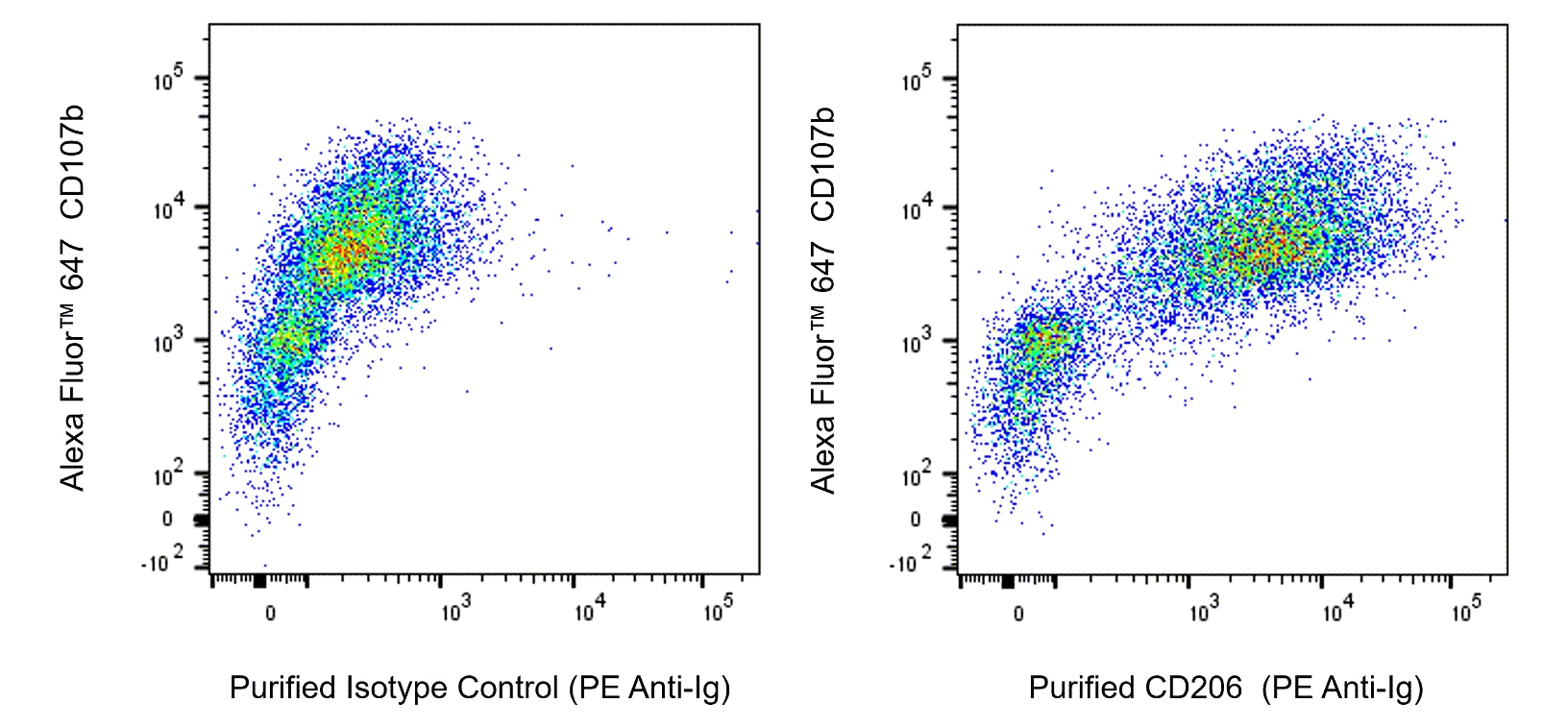 Purified Rat Anti-Mouse CD206